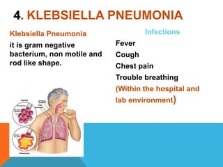 Nosocomial Infections or lab associated infections | PPT