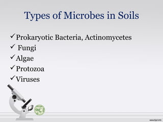 Presentation on microbial flora of soil by rahul | PPT | Gardening ...