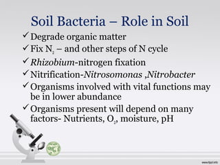 Presentation on microbial flora of soil by rahul | PPT | Gardening ...