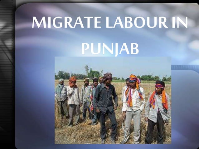 Presentation on migrate labour in punjab | PPT