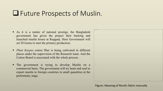 Muslin - An ancient fabric that no one knows how to make.pptx