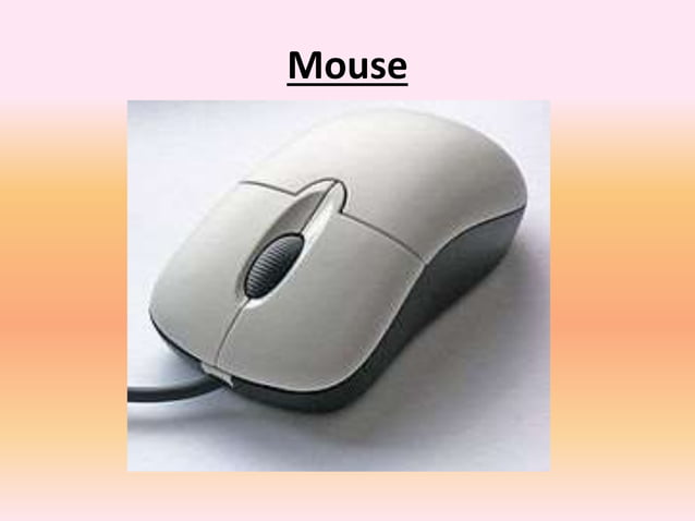 Presentation on mouse, keyboard and scanners | PPT