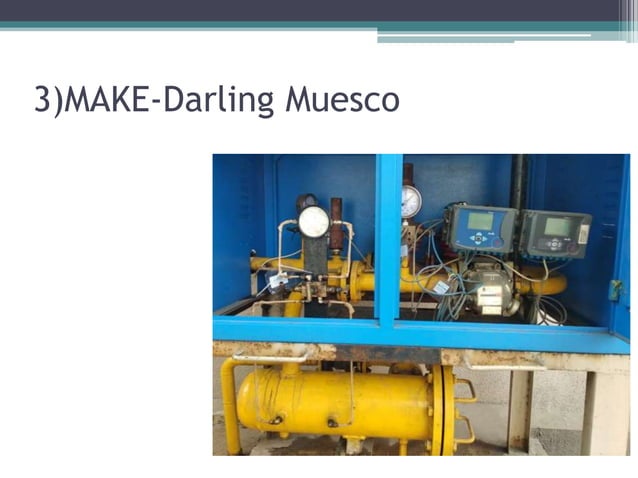 Presentation on Meter Regulating Skid(MRS) | PPTX | Physics | Science