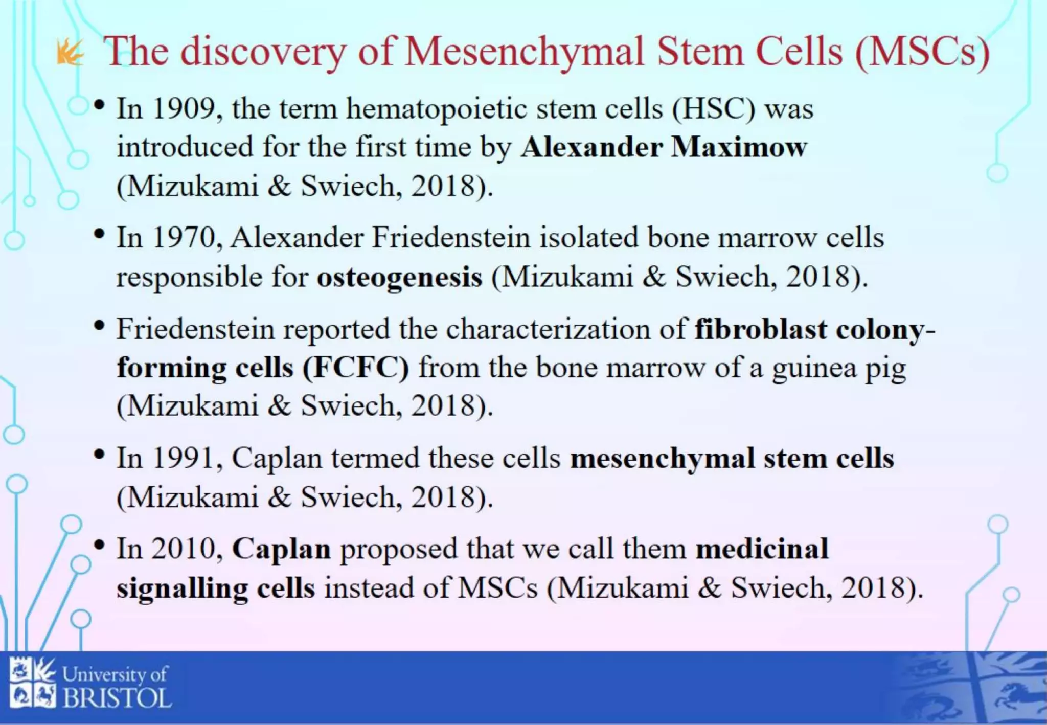 Presentation on mesenchymal stem cells and tissue regeneration. | PPTX
