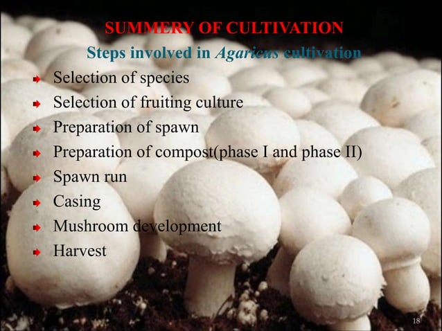 Button Mushroom cultivation.ppt | Gardening | Home & Garden
