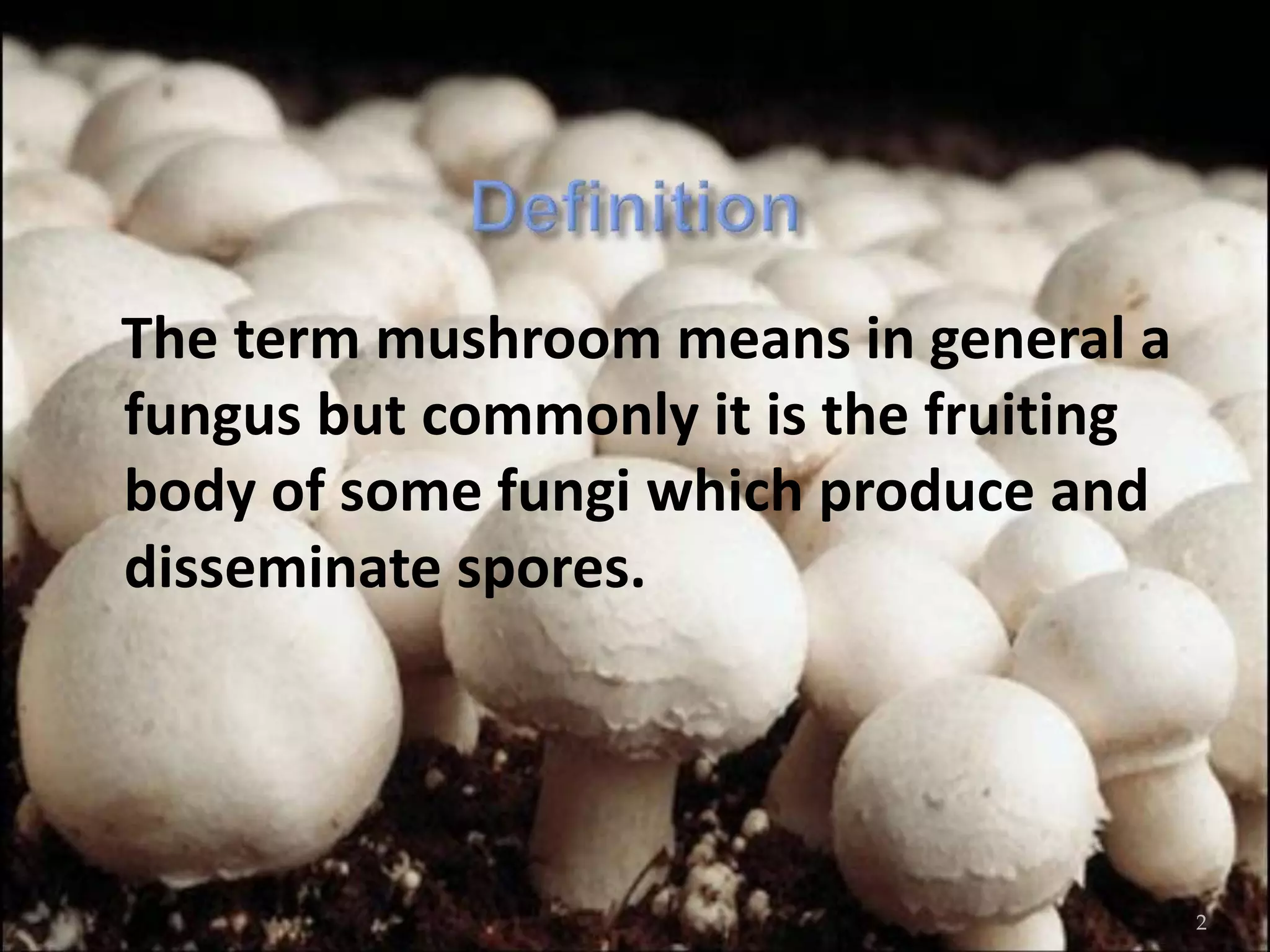 Presentation_on_Mushroom.pptx