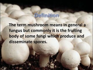 Presentation_on_Mushroom.pptx