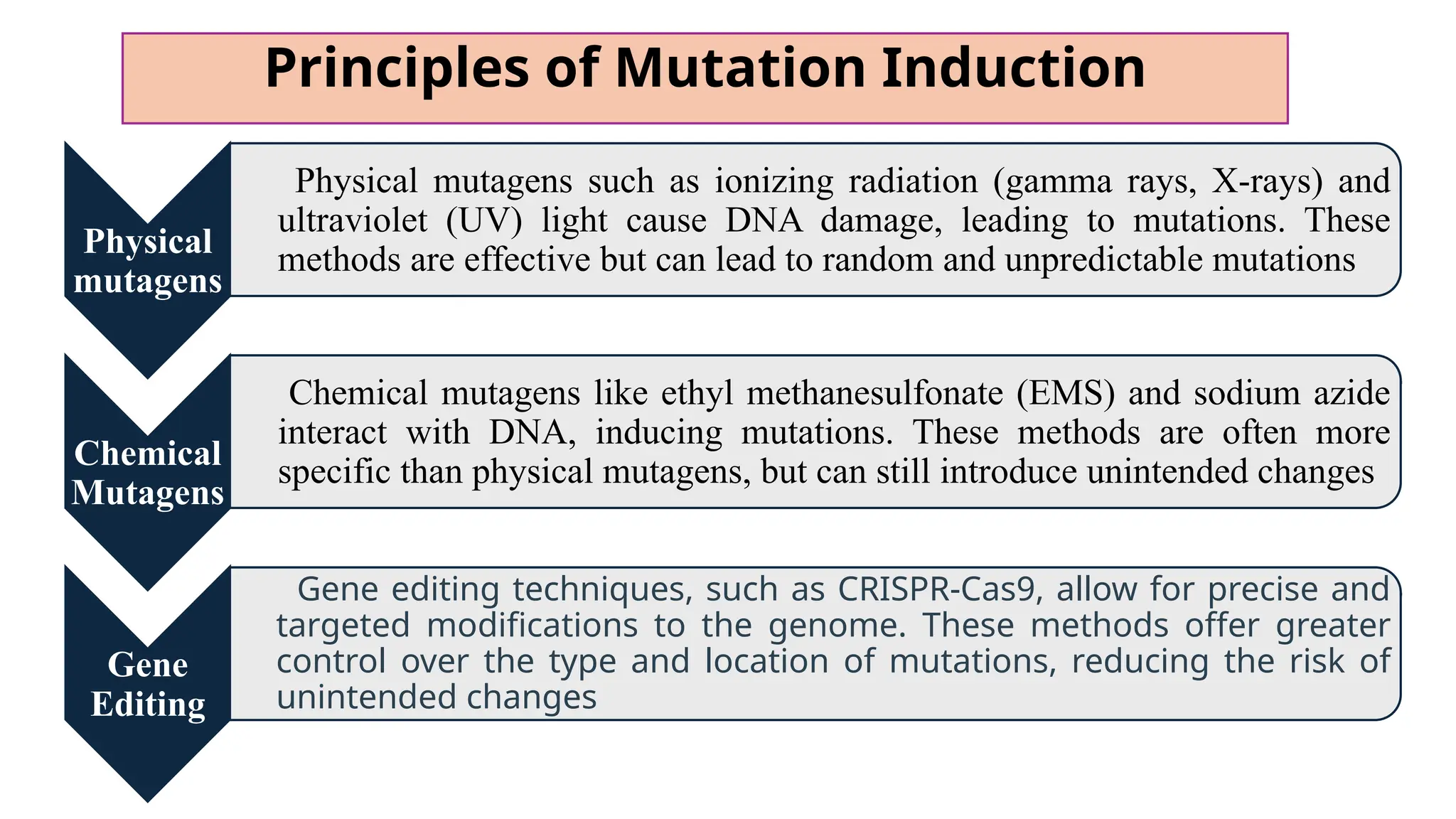 Presentation on Mutation breeding for Oligogenic and Polygenic Traits.pptx