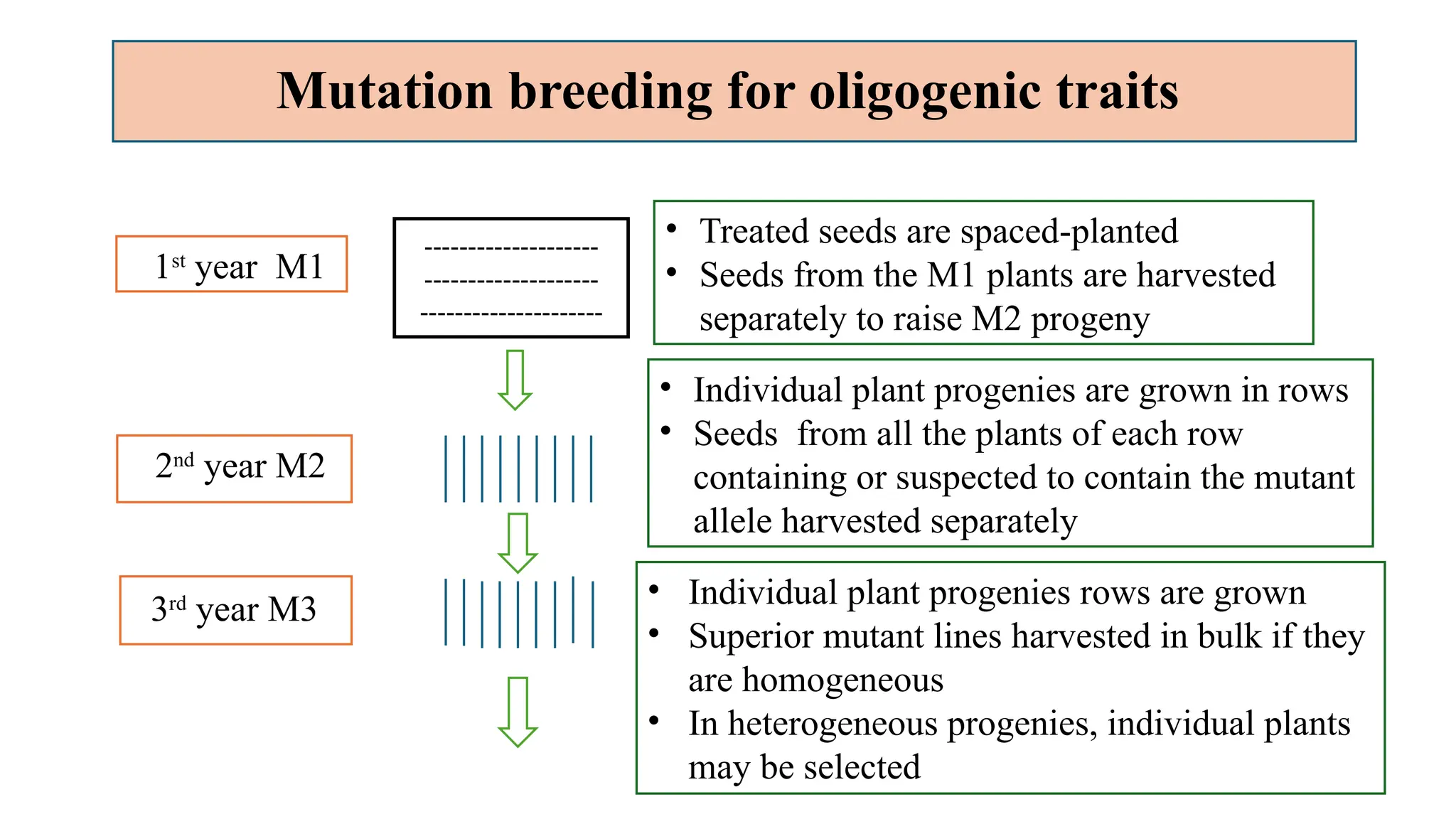 Presentation on Mutation breeding for Oligogenic and Polygenic Traits.pptx