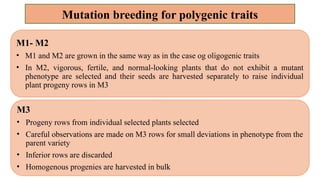 Presentation on Mutation breeding for Oligogenic and Polygenic Traits.pptx