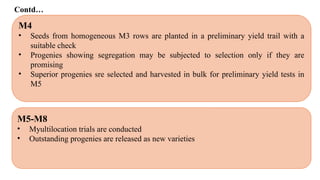 Presentation on Mutation breeding for Oligogenic and Polygenic Traits.pptx
