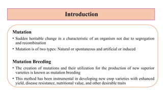 Presentation on Mutation breeding for Oligogenic and Polygenic Traits.pptx