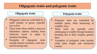 Presentation on Mutation breeding for Oligogenic and Polygenic Traits.pptx