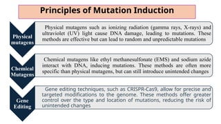 Presentation on Mutation breeding for Oligogenic and Polygenic Traits.pptx
