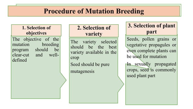 Presentation on Mutation breeding for Oligogenic and Polygenic Traits.pptx