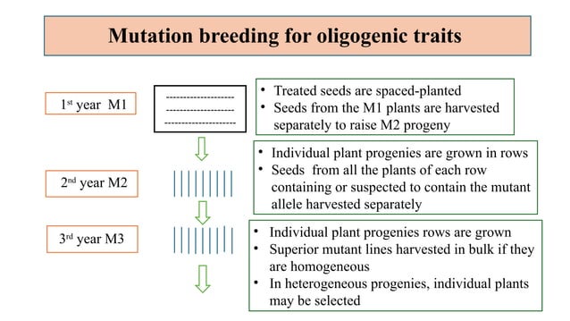 Presentation on Mutation breeding for Oligogenic and Polygenic Traits.pptx
