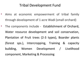 Presentation on nabard sdtt | PPT
