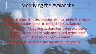Presentation on natural disaster - avalanche | PPTX