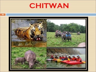 Presentation on Nepal | PPT