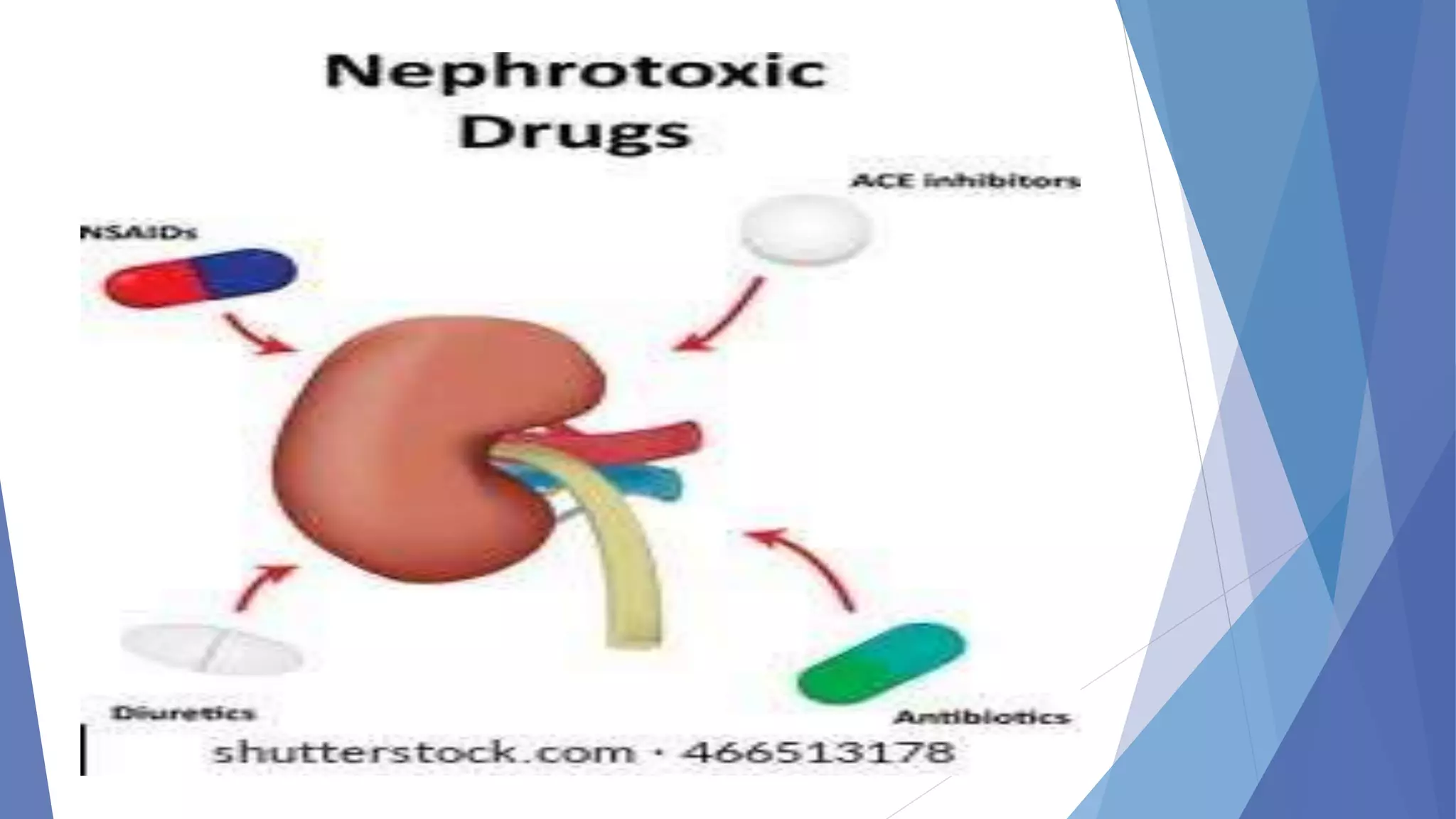 PRESENTATION ON NEPHROTOXINS.pptx