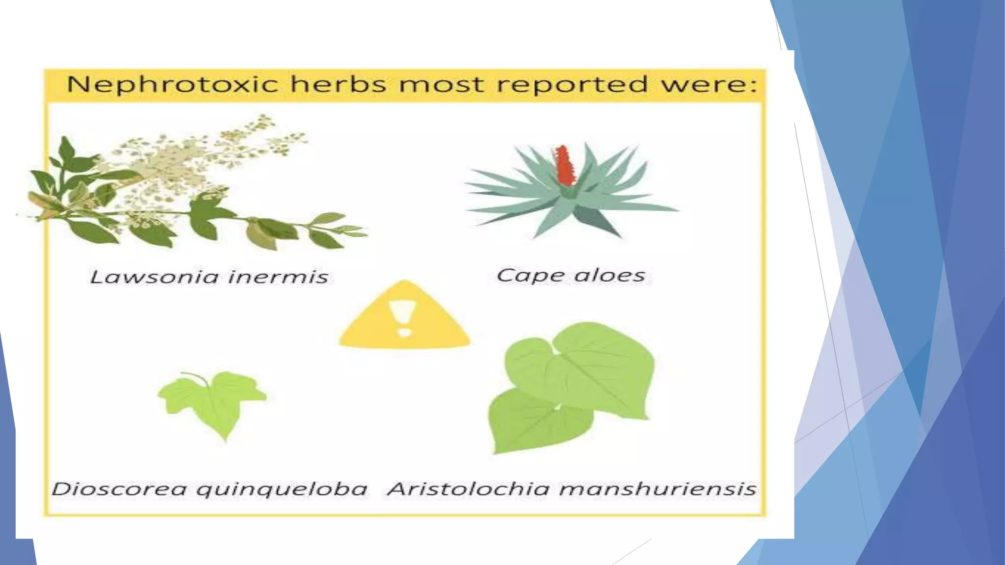 PRESENTATION ON NEPHROTOXINS.pptx