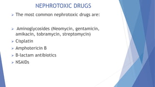 PRESENTATION ON NEPHROTOXINS.pptx
