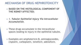 PRESENTATION ON NEPHROTOXINS.pptx