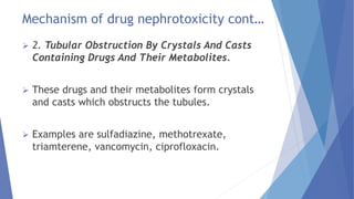 PRESENTATION ON NEPHROTOXINS.pptx