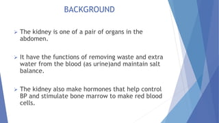 PRESENTATION ON NEPHROTOXINS.pptx