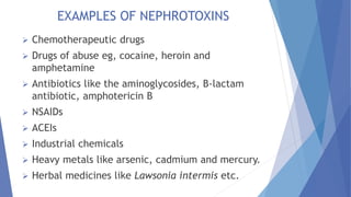 PRESENTATION ON NEPHROTOXINS.pptx