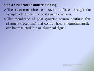 Presentation on neurotransmission and noradrealine norcholinergic (nanc ...
