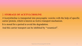 Presentation on neurotransmitter’s acetylcholine and adrenaline ...