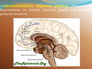 Presentation on neurotransmitter’s on dopamine and gaba converted (1 ...