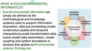 What is Eco-Environmental informatics | PPTX