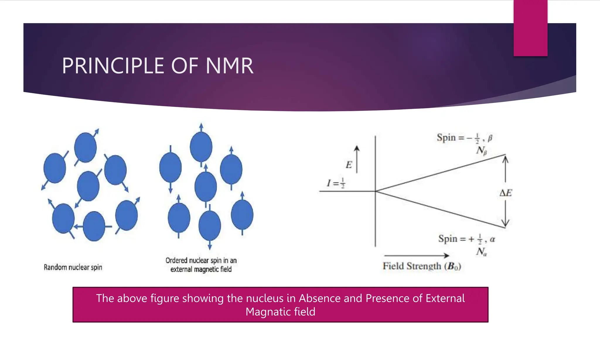 Presentation on NMR.pptxngxsthrykytdtrreakytd | PPTX