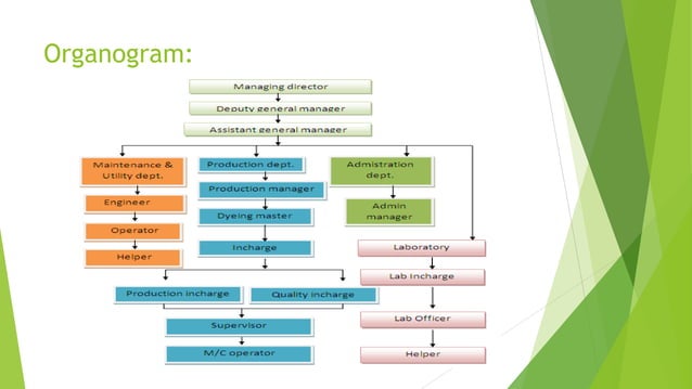 Presentation on noman weaving | PPT