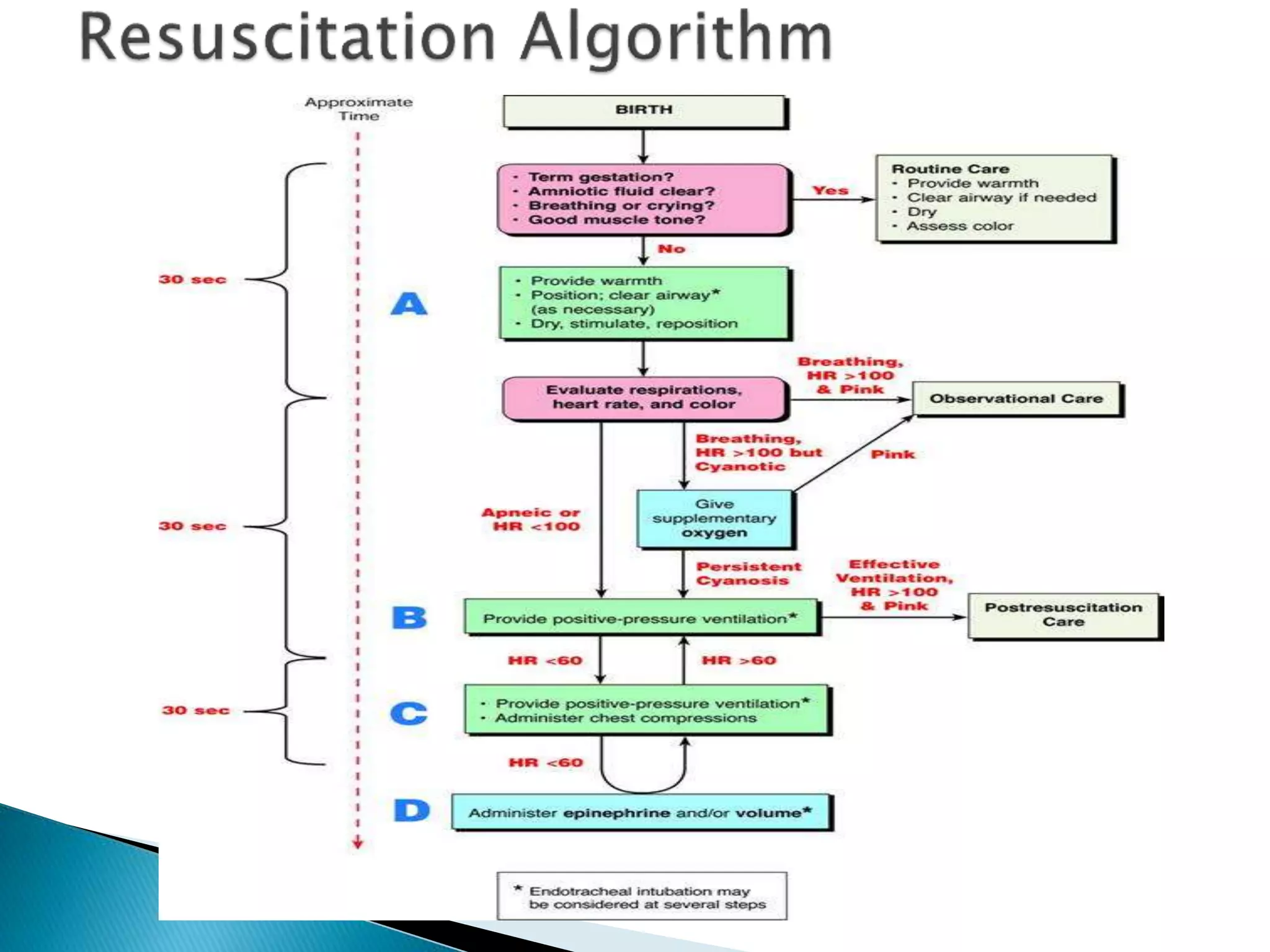 Presentation on NRP (Neonatal Resuscitation Program) | PPTX