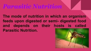 Presentation on nutrition | PPT