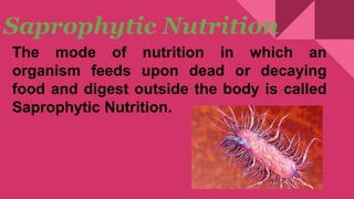 Presentation on nutrition | PPT