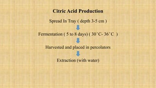 Presentation on orgainc acid production | PPTX
