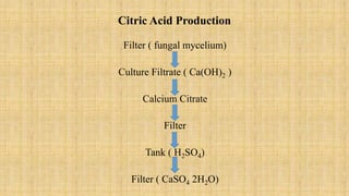 Presentation on orgainc acid production | PPTX