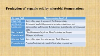 Presentation on orgainc acid production | PPTX