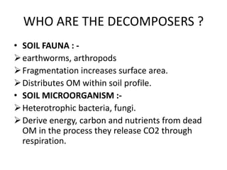 Decomposition of organic residue | PPTX