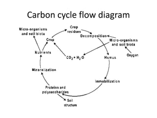 Decomposition of organic residue | PPTX