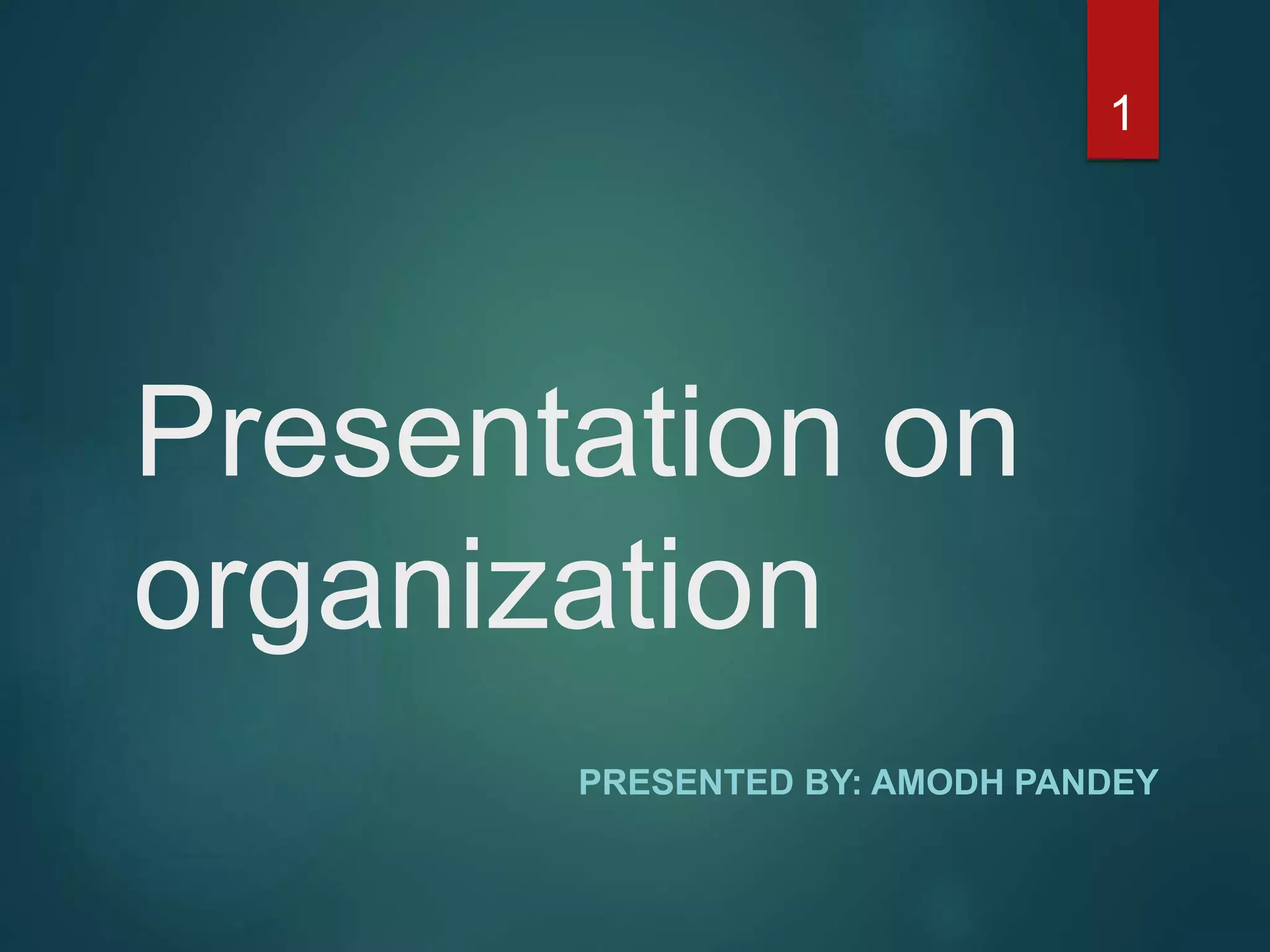 organization profiles | PPTX