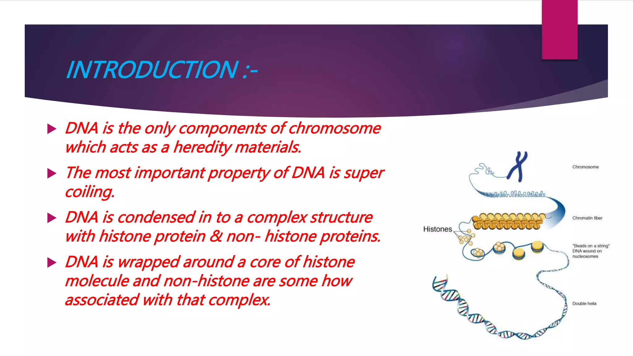DNA Packaging ppt | PPTX