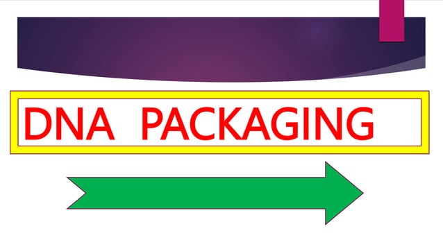 DNA Packaging ppt | PPTX