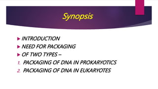 DNA Packaging ppt | PPTX