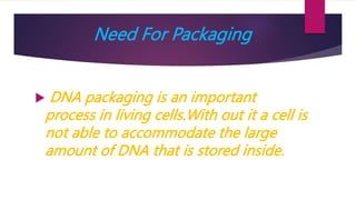 DNA Packaging ppt | PPTX
