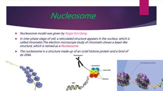 DNA Packaging ppt | PPTX